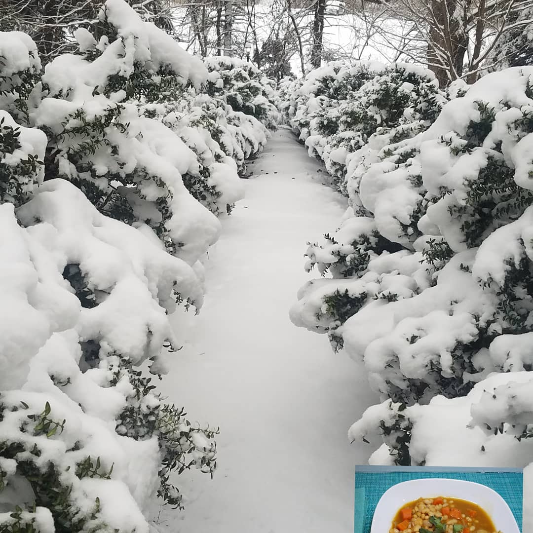 Senate Soup – CountryHart To Do